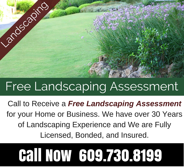 Landscaping Offer - Tree Removal & Tree Services - Mercer County, NJ ...